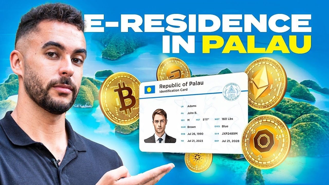 La résidence numérique de Palau : une aubaine annuelle à 250 $ pour les ...